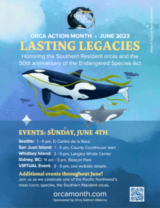 June is Orca Action Month! Celebrate with Special Events - Whale Scout